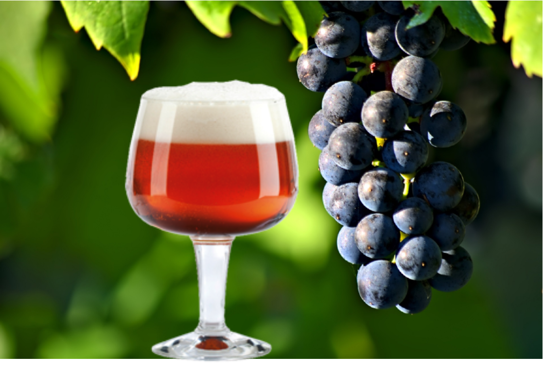 IGA: ITALIAN GRAPE ALE, UN ESTILO TODO ITALIANO - Alta Birra Italiana